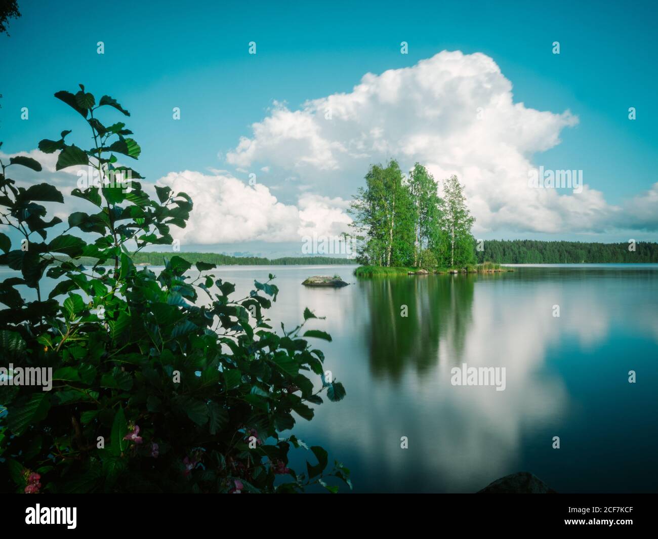 Amazing summer sunny landscape with river, meadow and forest in Finland ...