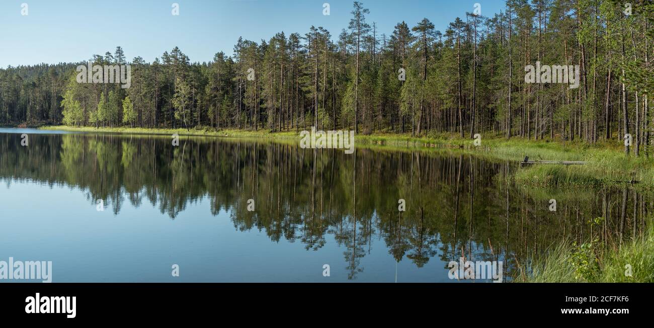 Meadow forest finland hi-res stock photography and images - Alamy
