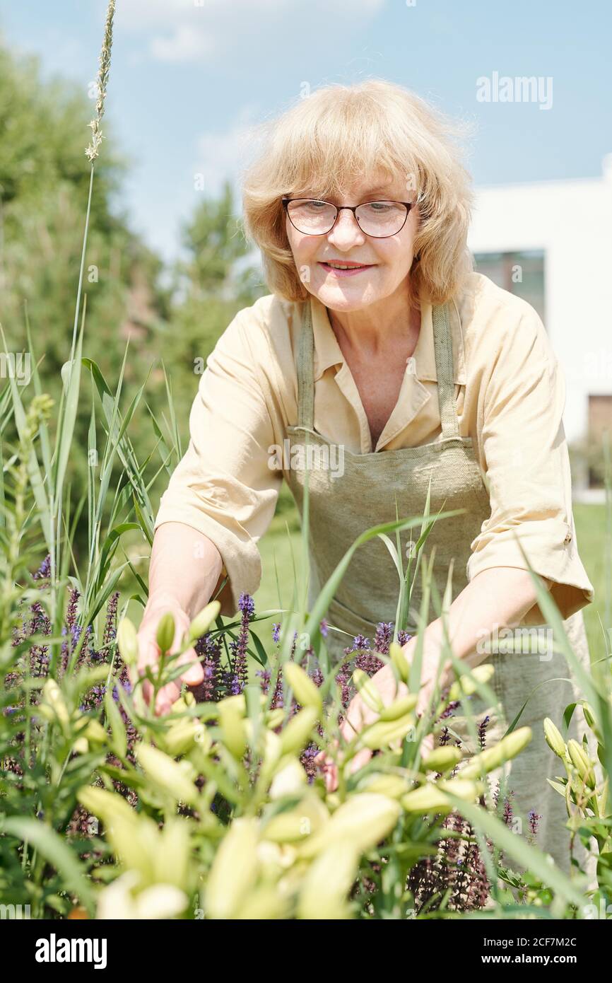 Vertical portrait of beautiful senior woman wearing eyeglasses enjoying ...