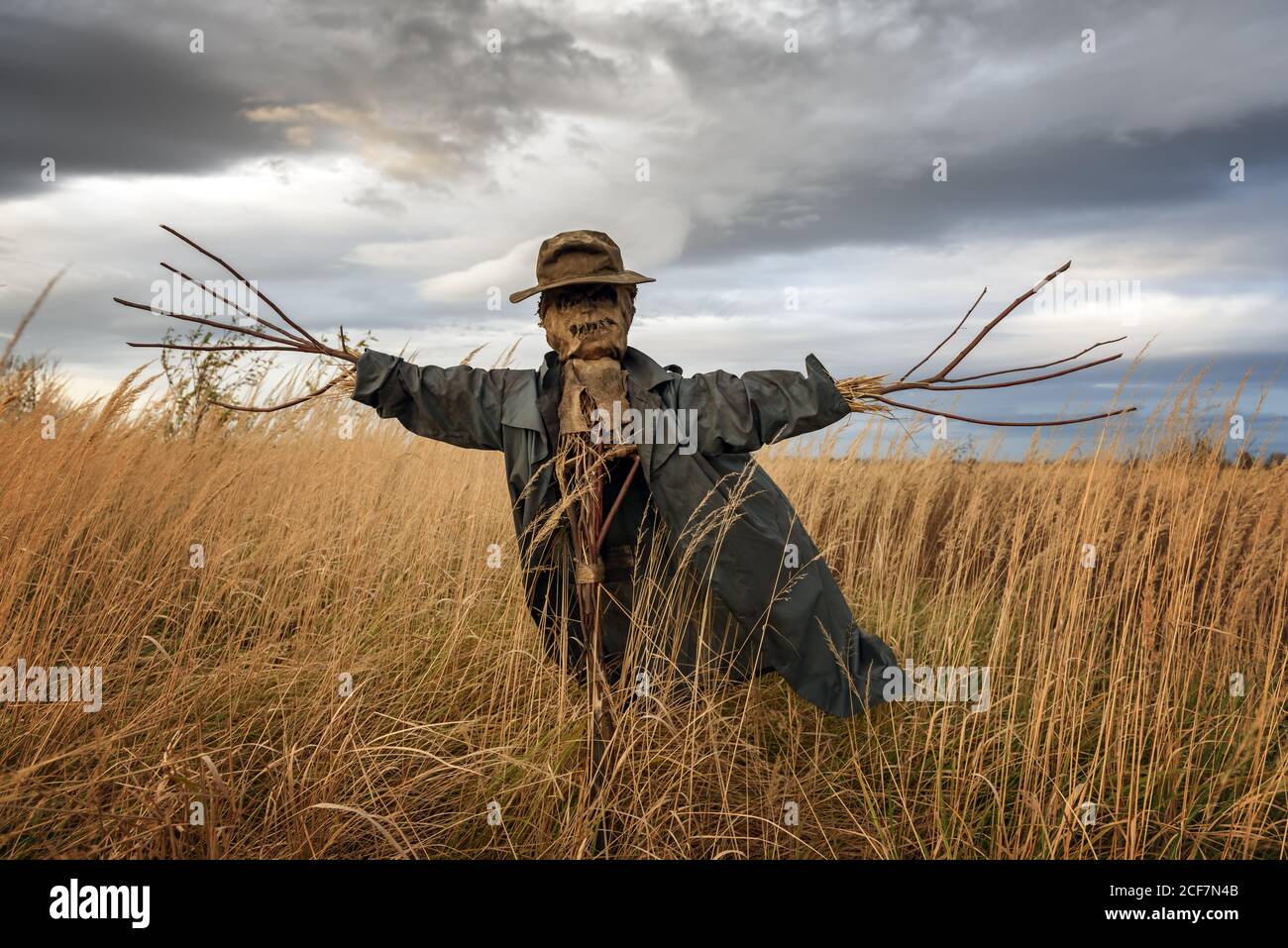 Scarecrow in field agriculture hi-res stock photography and images - Alamy