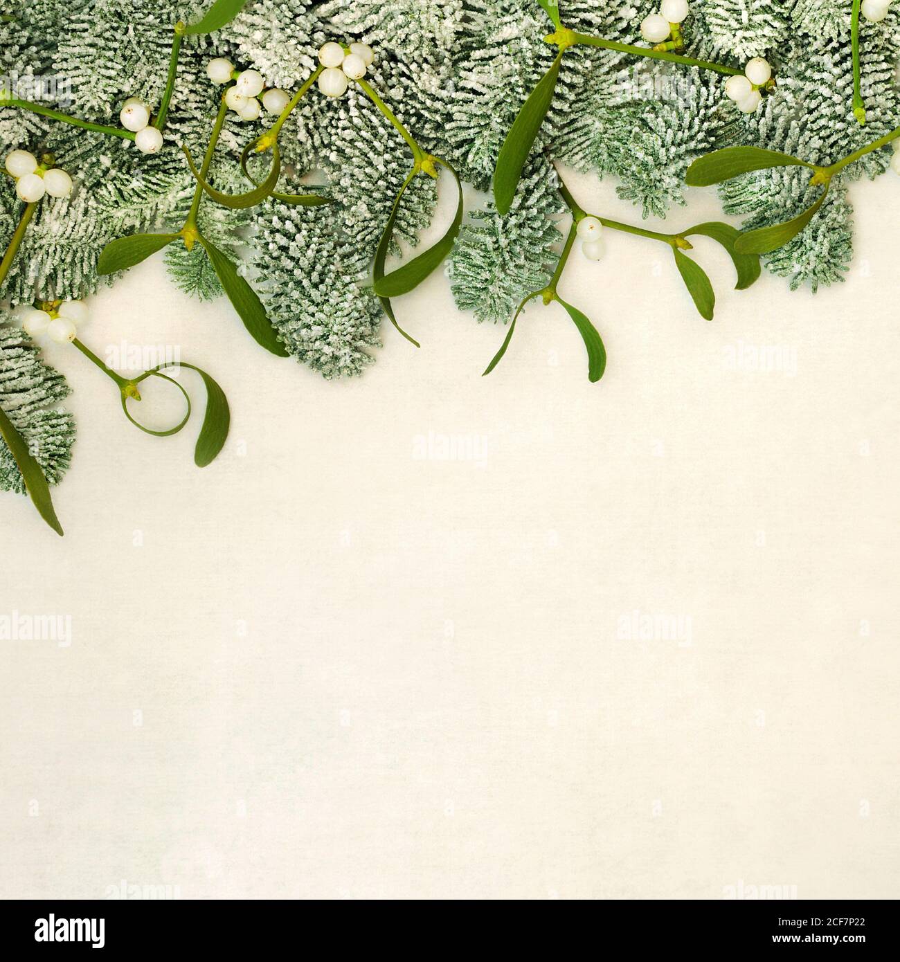 Mistletoe & snow covered fir border on old parchment paper background ...