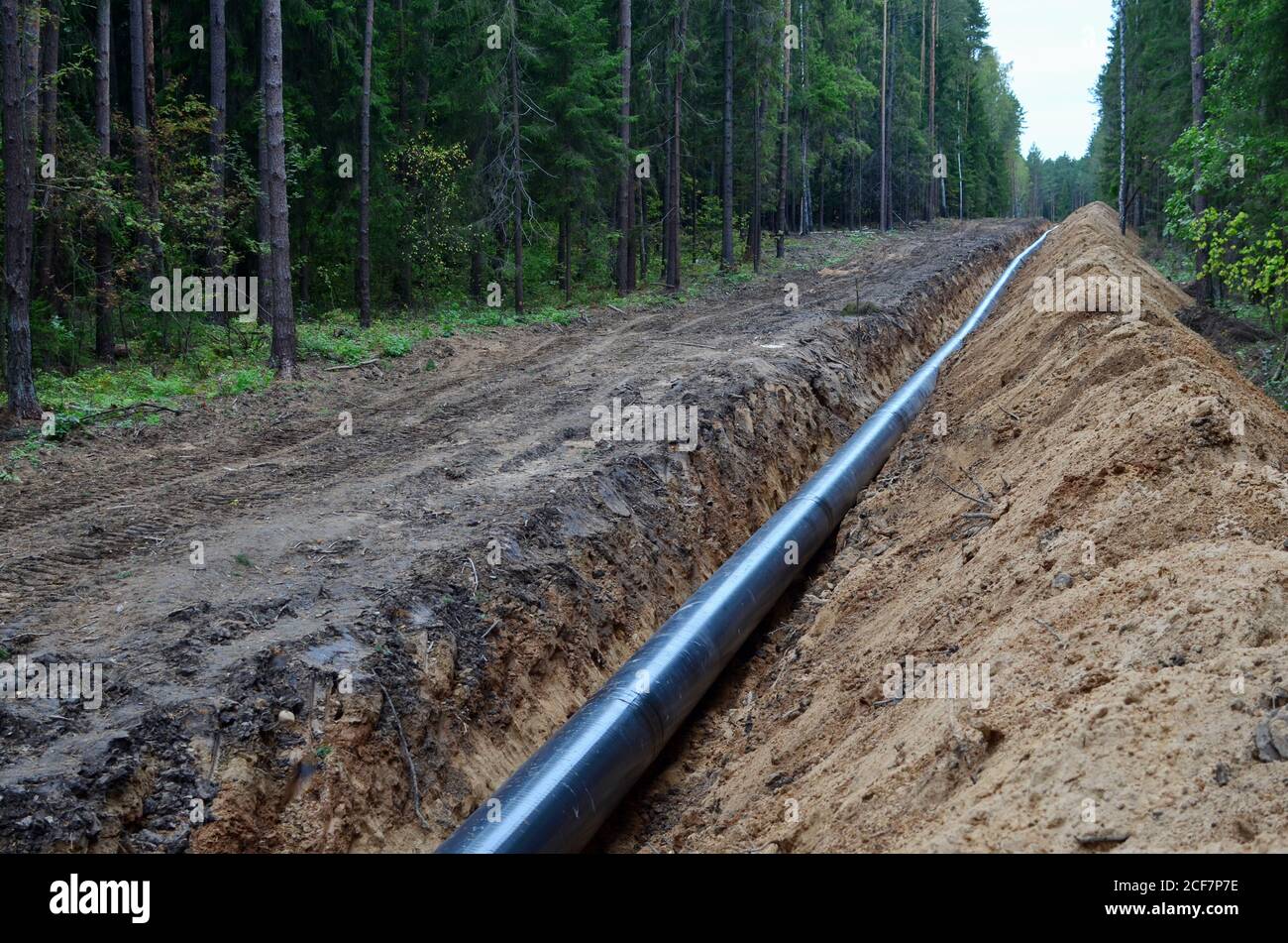 Natural gas pipeline construction work. A dug trench in the ground for ...