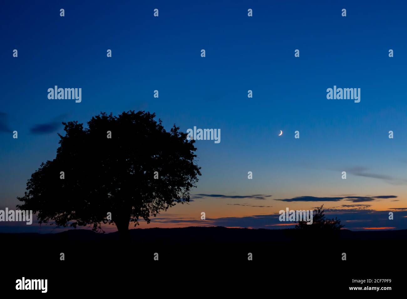 Sunset with a silhouette of a tree and the moon Stock Photo - Alamy