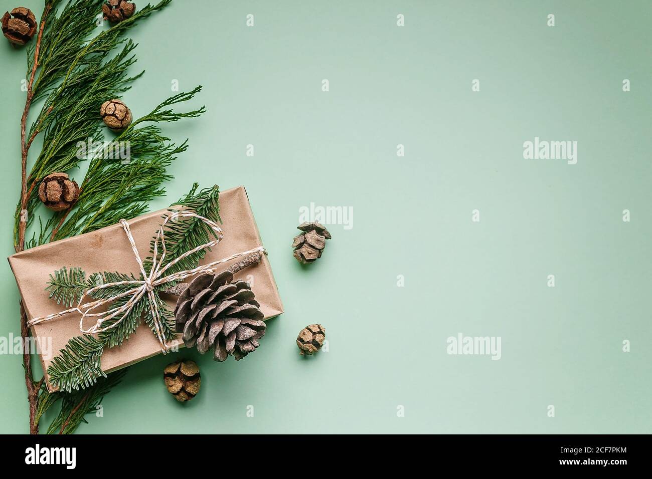 Christmas gift in kraft paper, pine branch and cones on a bright green ...