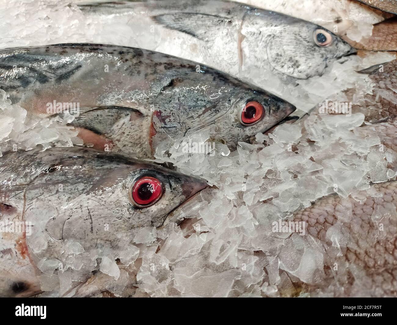 Supermarket fish display hi-res stock photography and images - Alamy