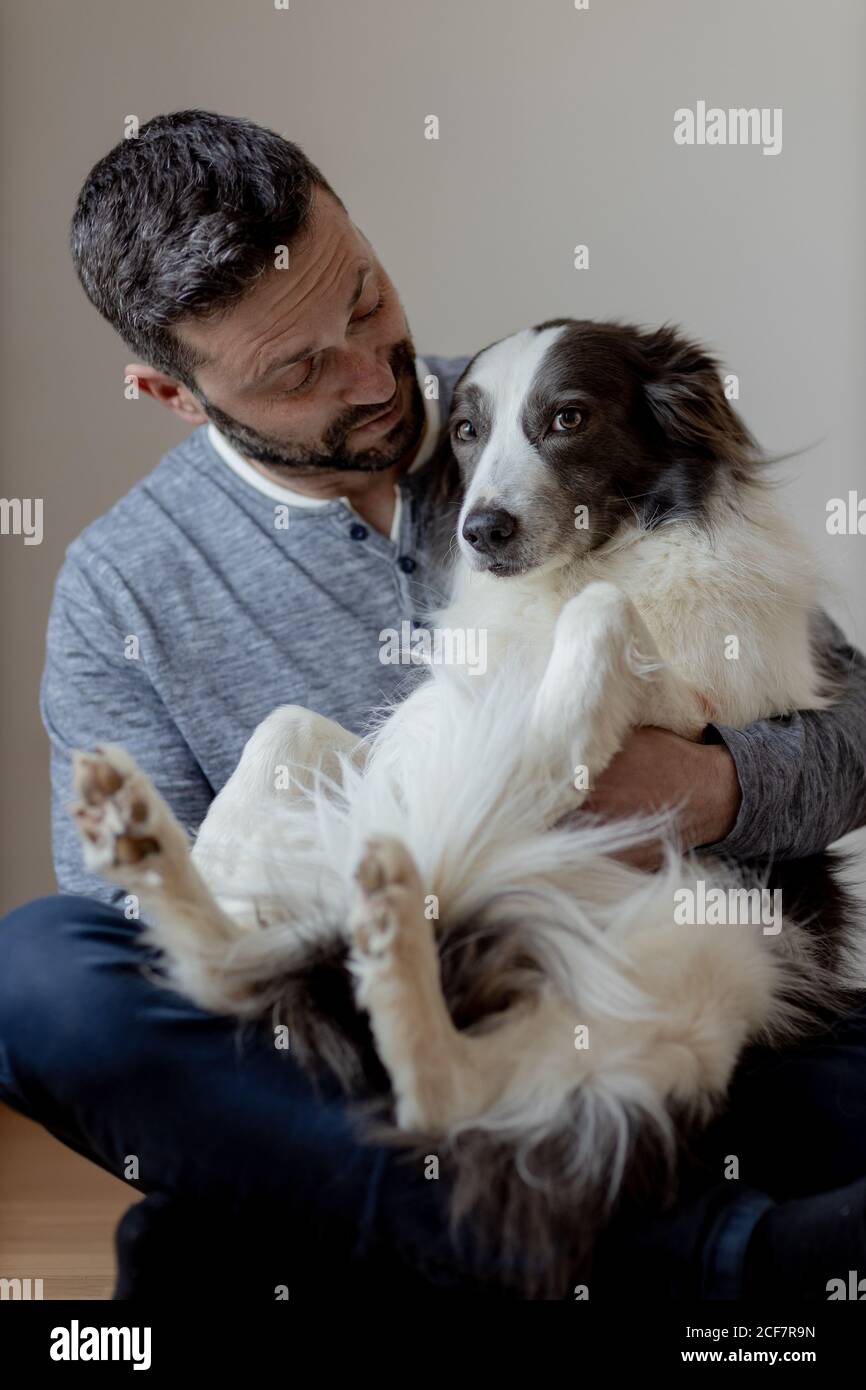 man in casual outfit giving hug and kiss to beloved Border Collie dog ...