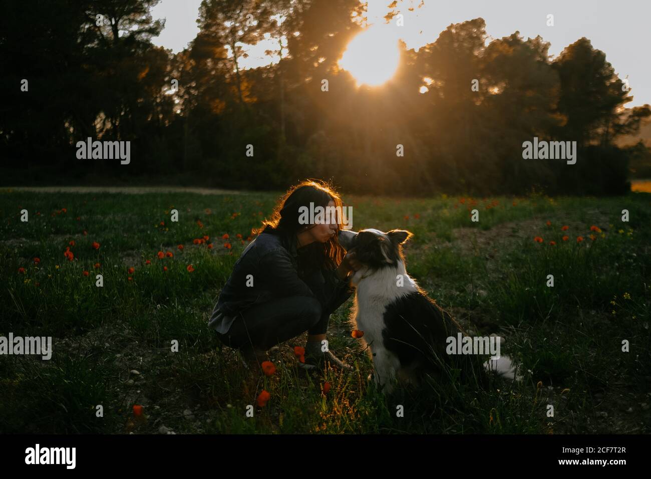 Woman with border collie hi-res stock photography and images - Alamy