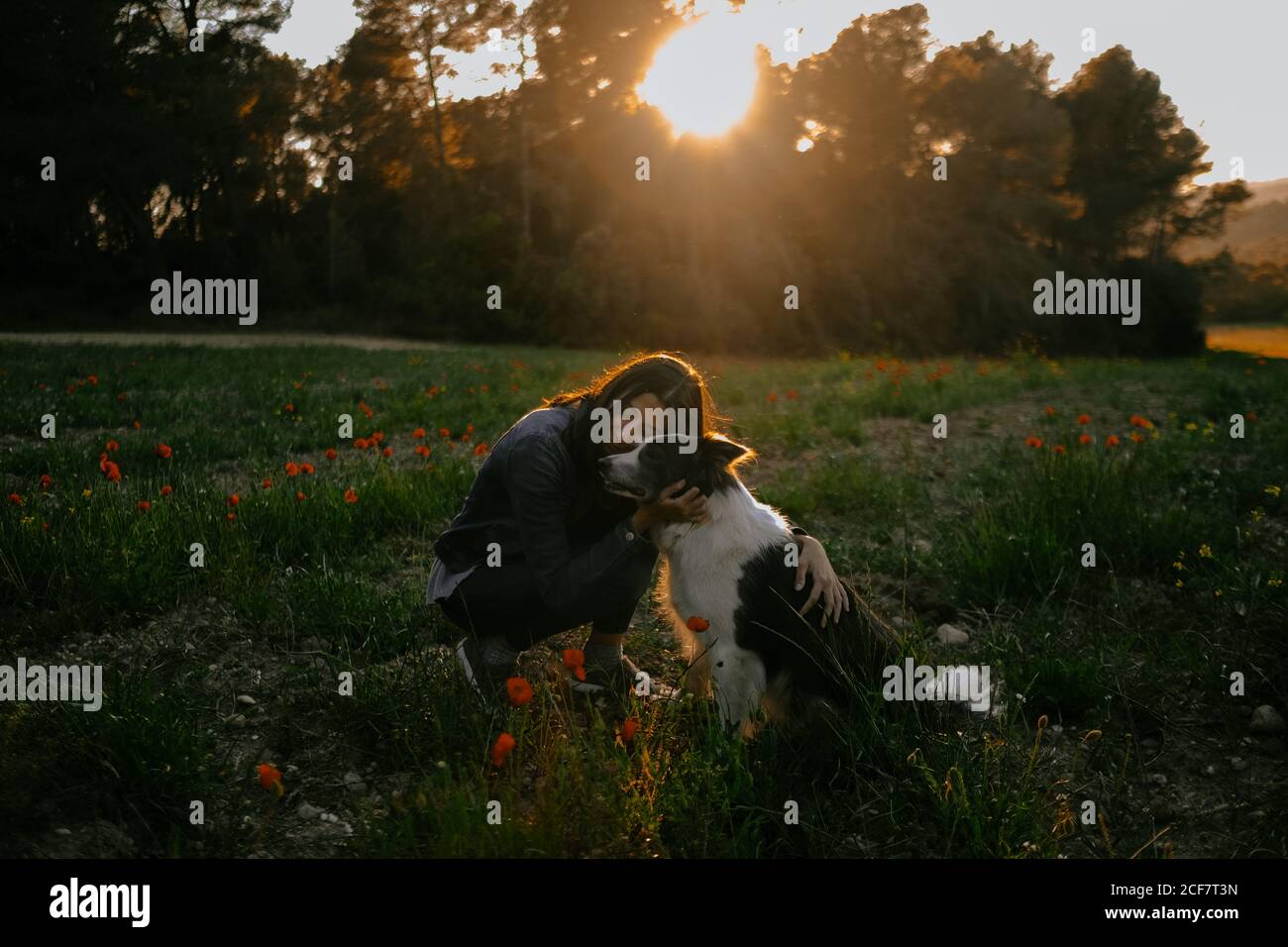 Young woman with border collie hi-res stock photography and images - Alamy