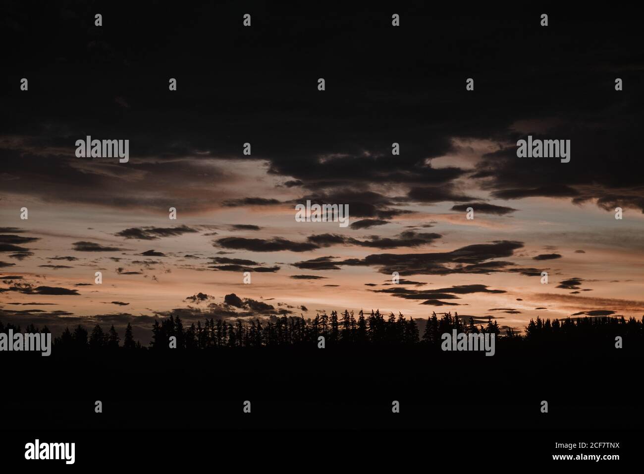 Dark field hi-res stock photography and images - Alamy