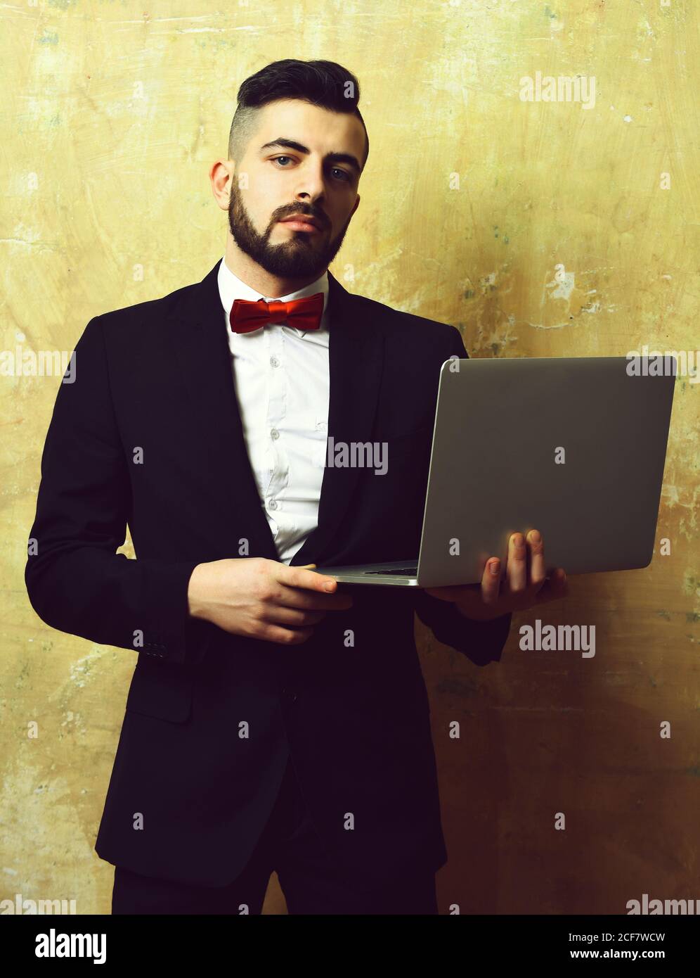 Boss with neat beard, hairstyle and confident or proud face holds grey ...