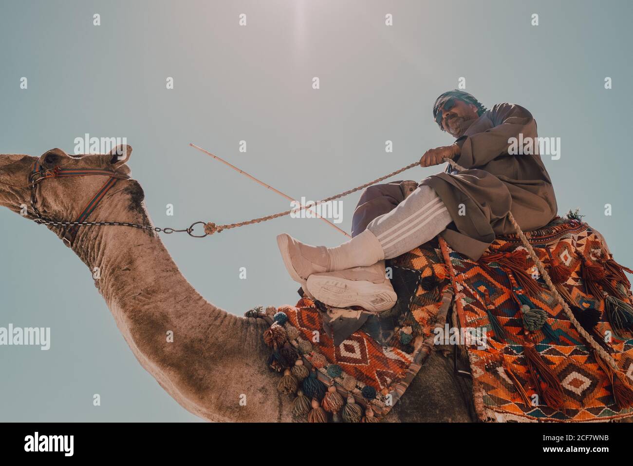 Arab man riding camel on hi-res stock photography and images - Alamy
