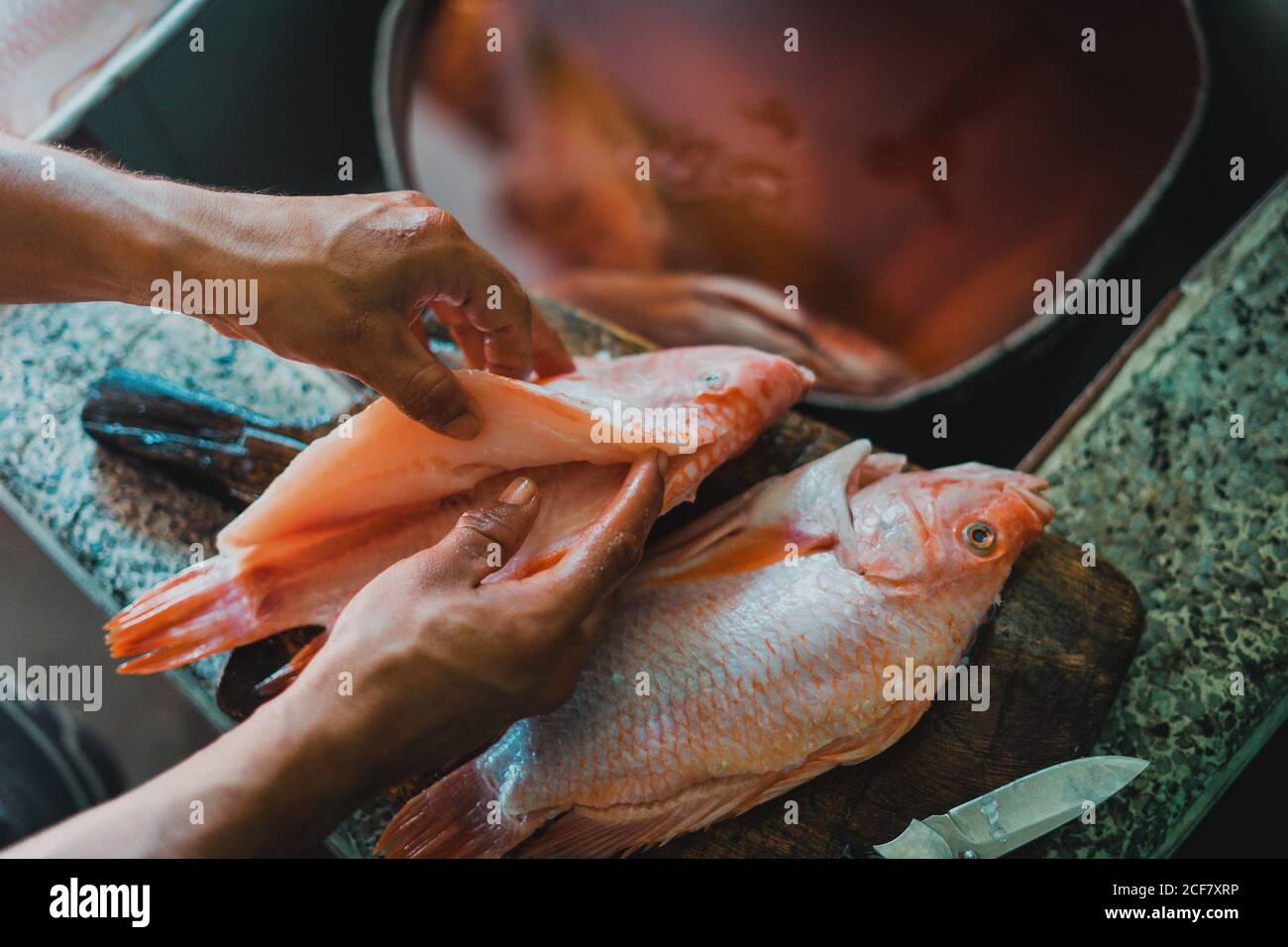 From above crop anonymous cook washing fresh fish for cooking dinner in ...