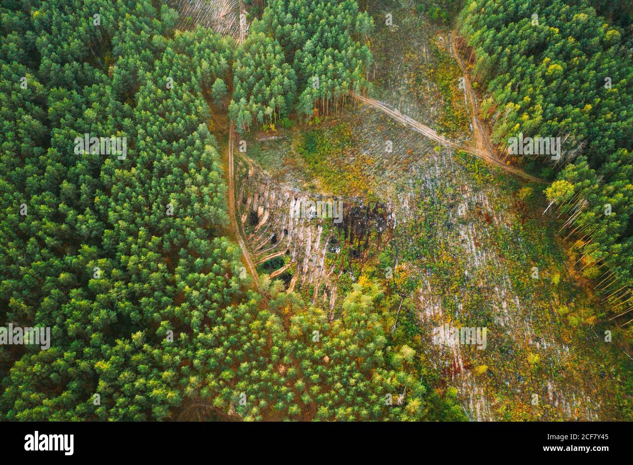 Deforestation aerial hi-res stock photography and images - Alamy