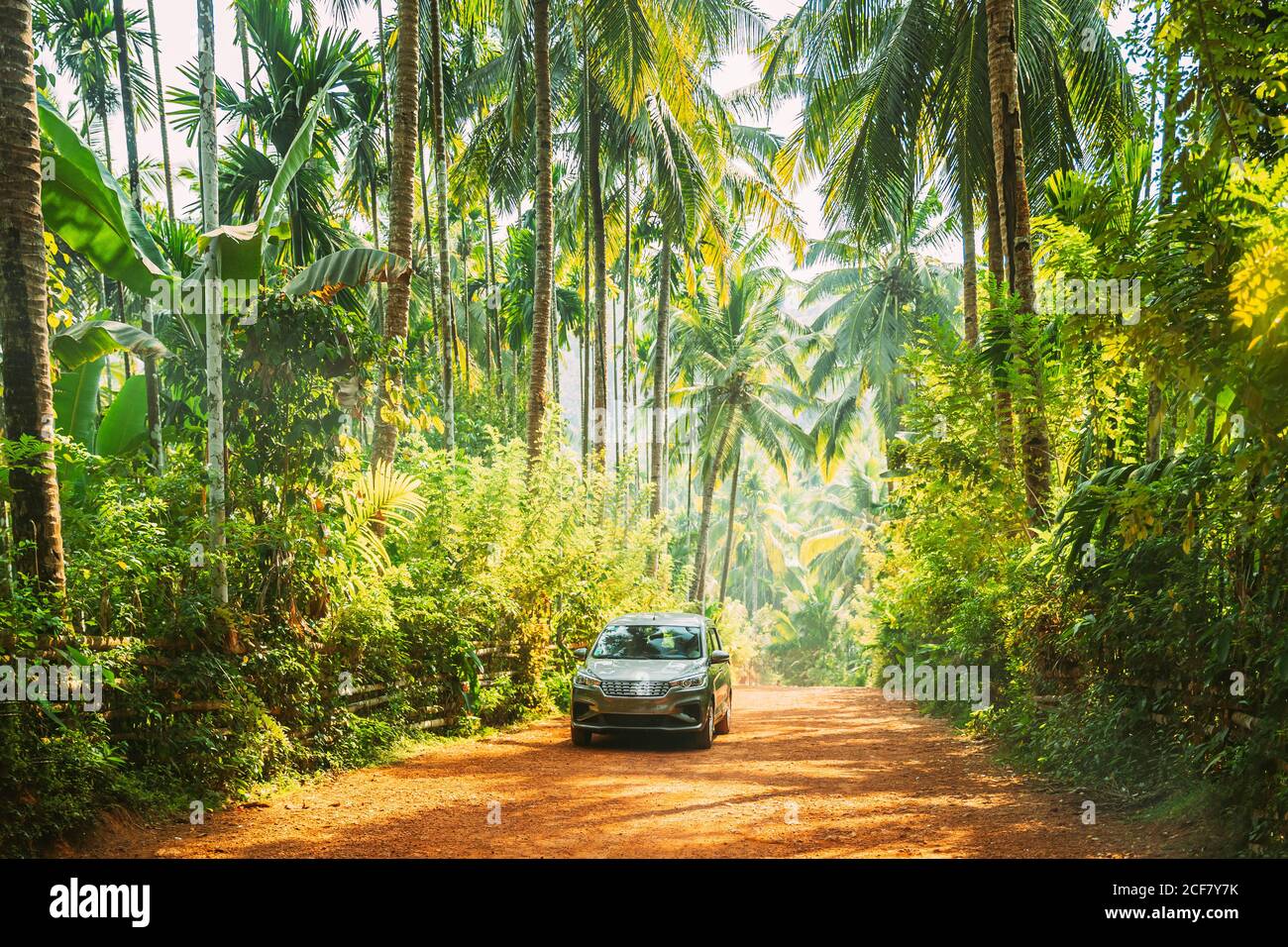Goa, India. Car Moving On Road Surrounded By Palm Trees In Sunny Day ...