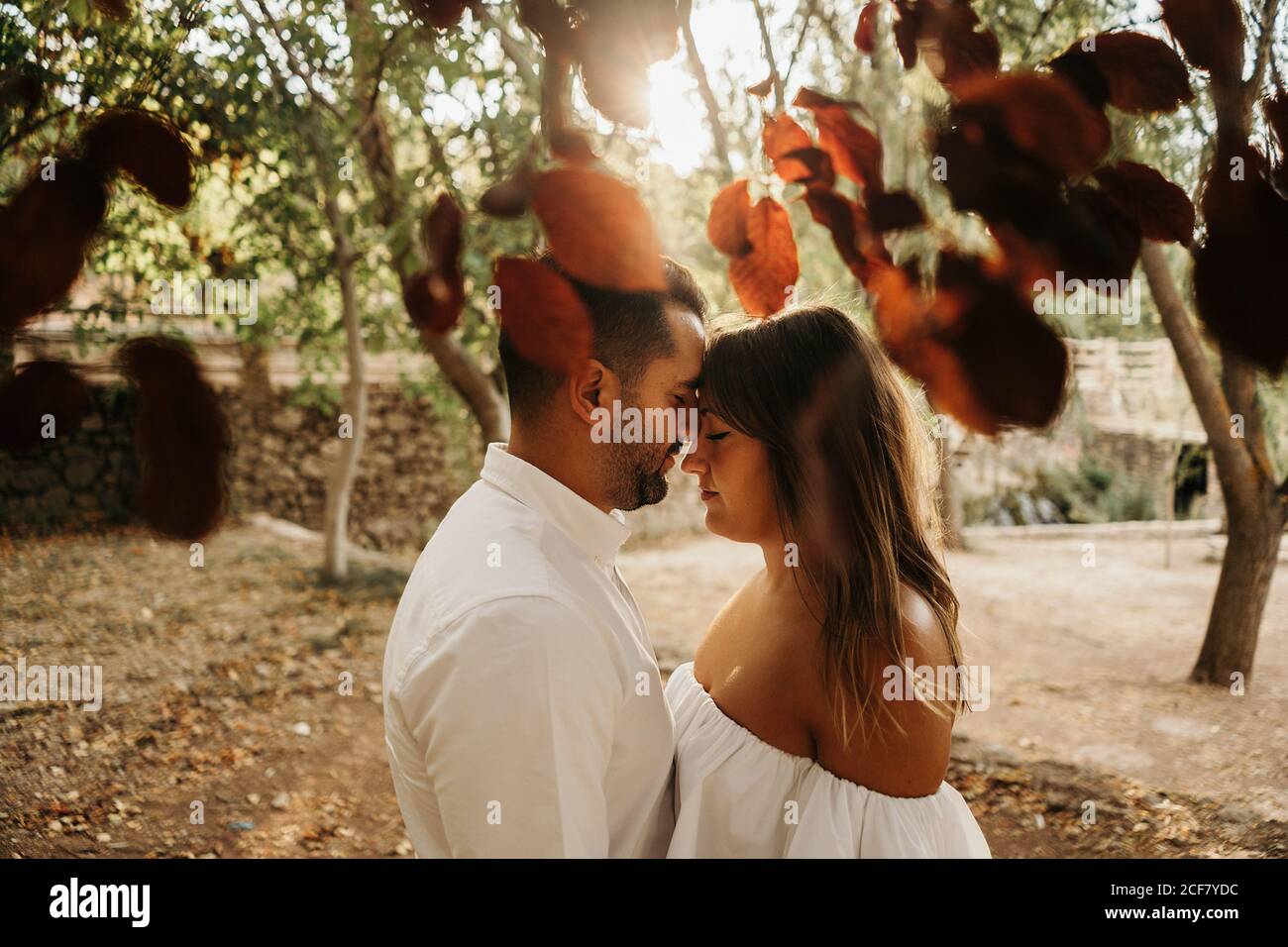 loving couple hugging under a tree Stock Photo - Alamy