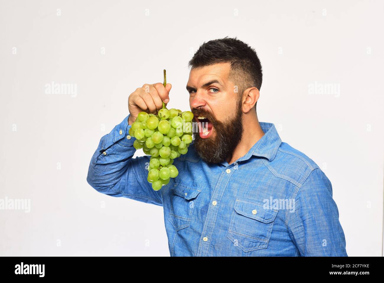 Winegrower with wild hungry face holds cluster of grapes. Man with ...