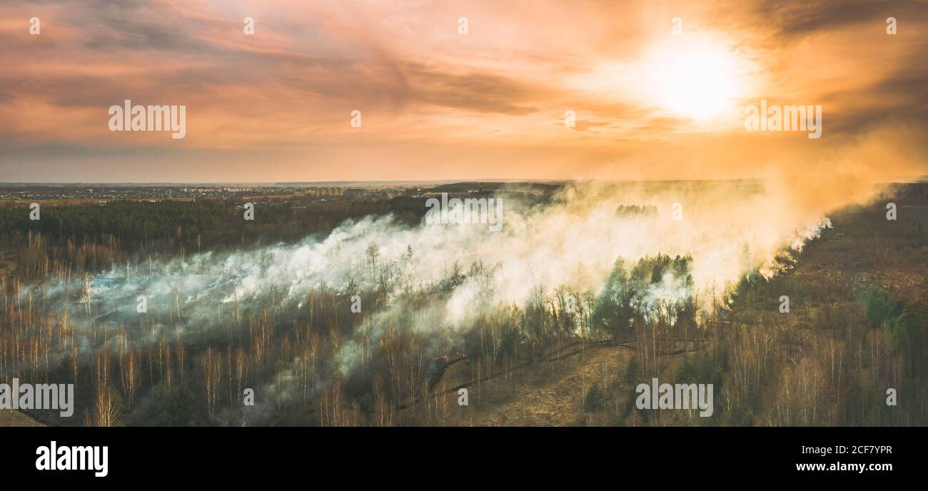 Aerial View. Spring Dry Forest Burns During Drought Hot Weather. Bush ...