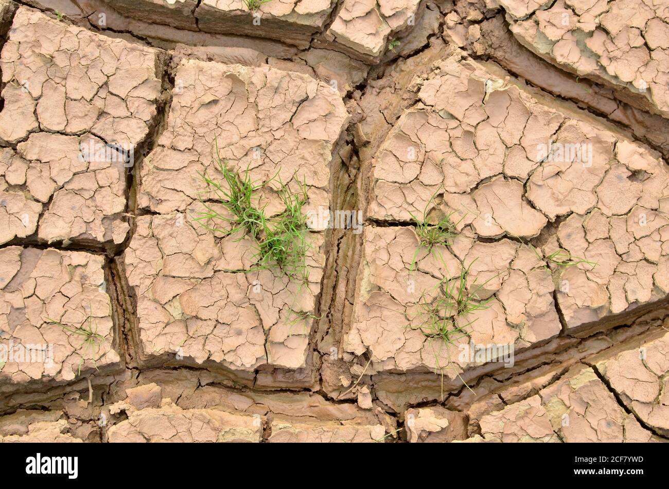 Dry lake or swamp in the process of drought and lack of rain or ...