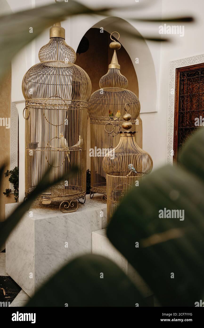 Structure of cages hi-res stock photography and images - Alamy