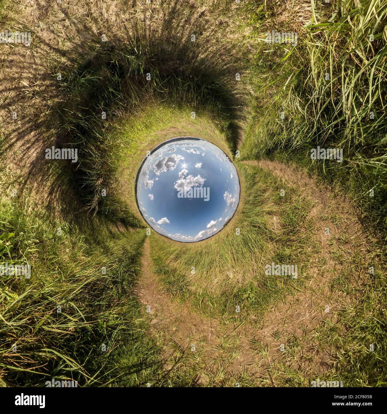 Inversion of blue little planet transformation of spherical panorama ...
