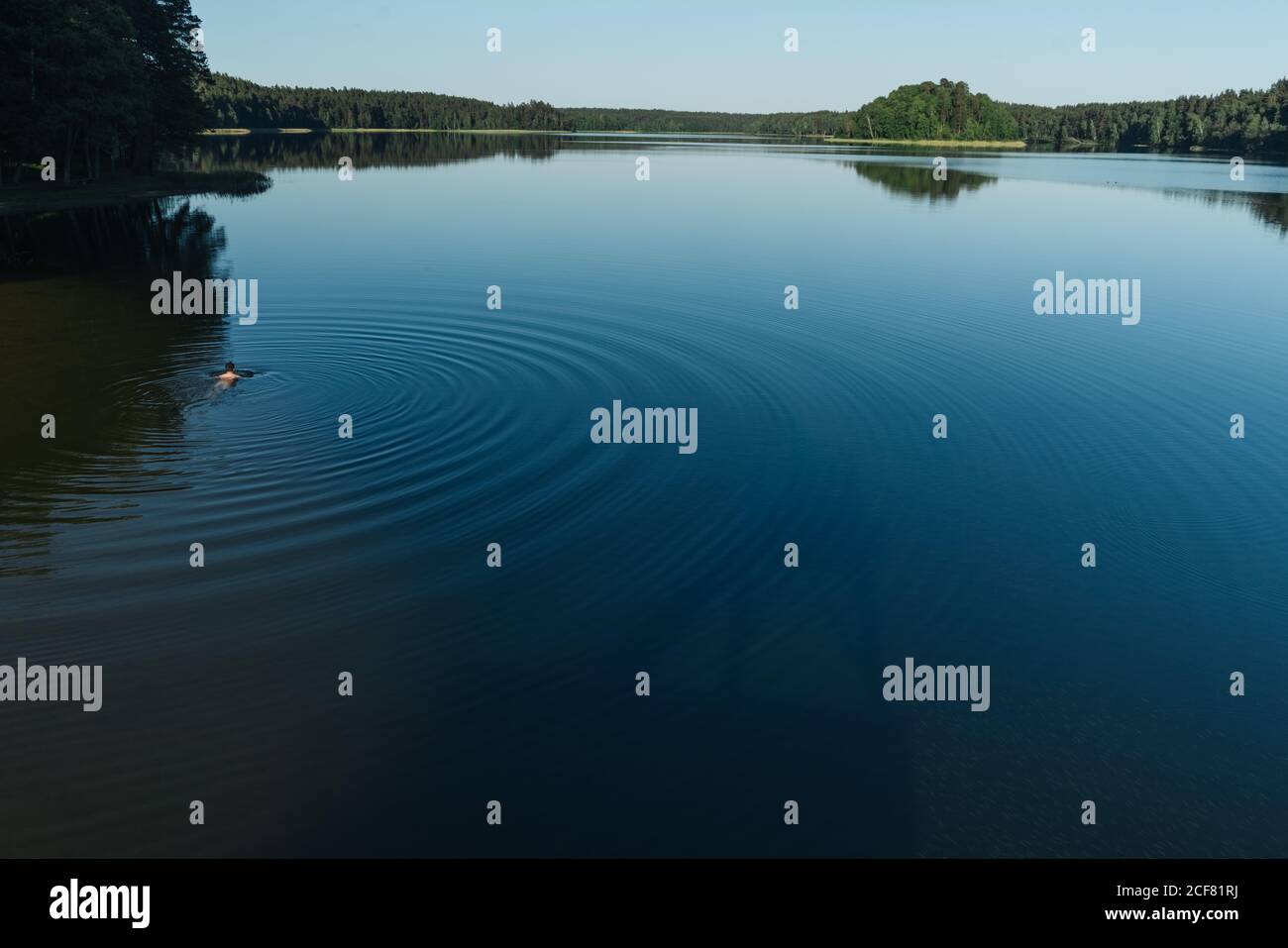 Scenic view of blue sky and large clear lake surrounded by dense forest ...