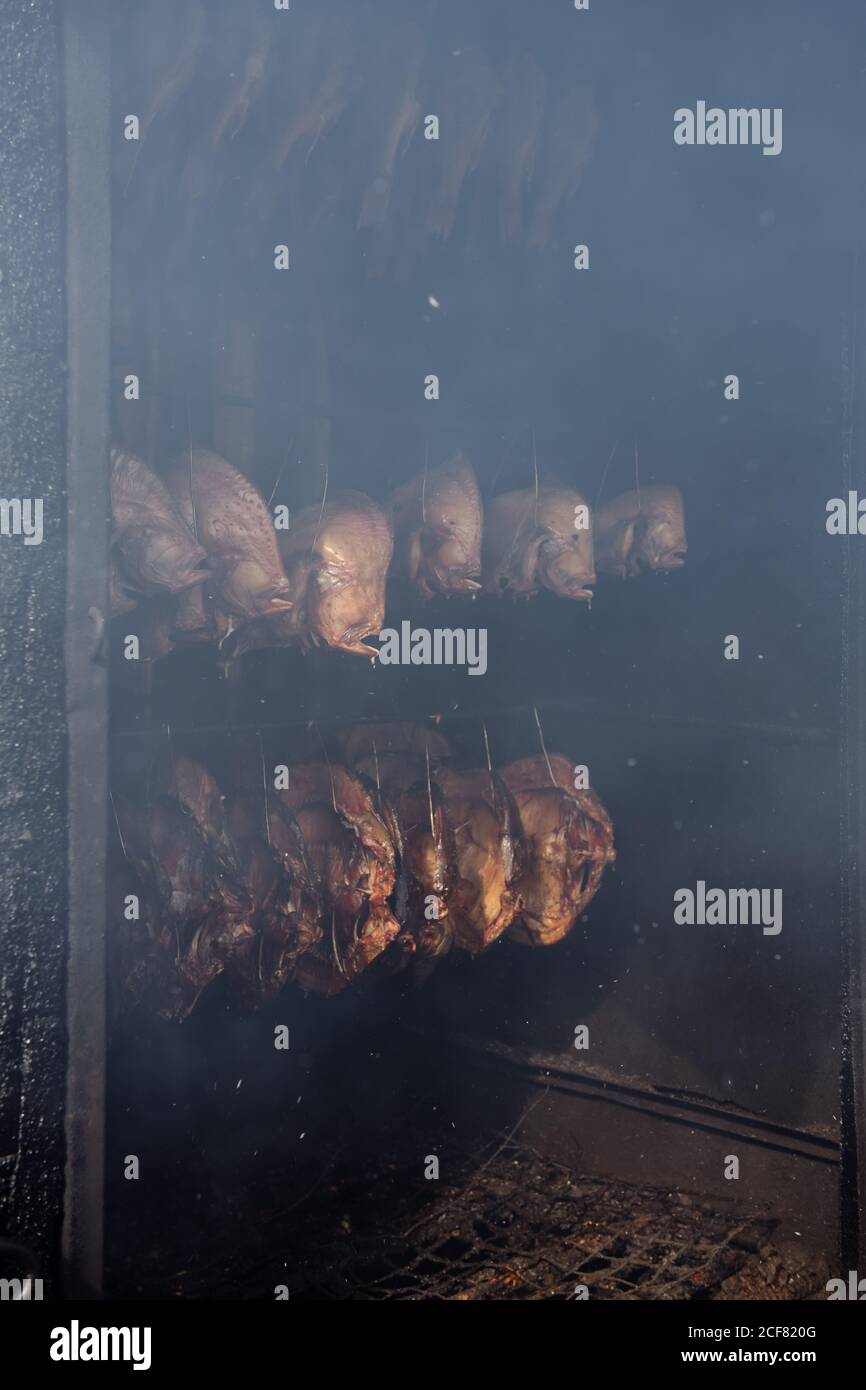 Rows of eviscerated fish hanging on ropes cooking inside smokehouse ...