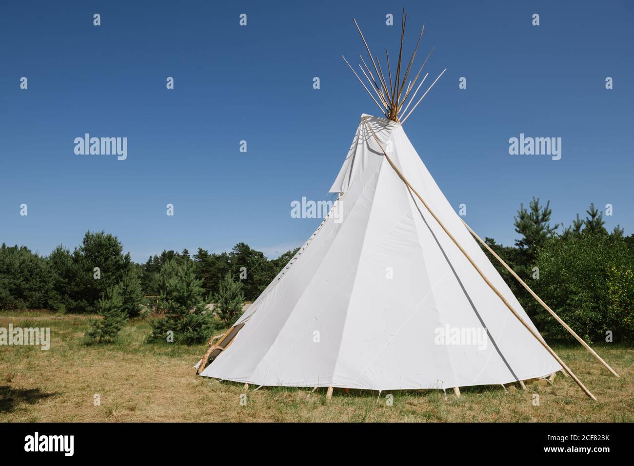 Wig tree hi-res stock photography and images - Alamy