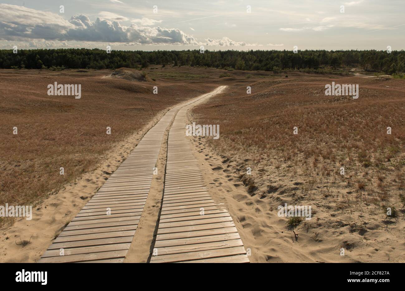 Long wooden pathway on hi-res stock photography and images - Alamy