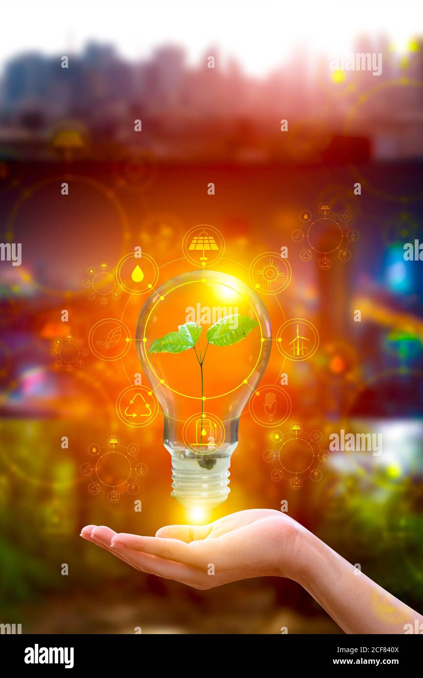Renewable energy concept Earth Day or environment protection Hands ...