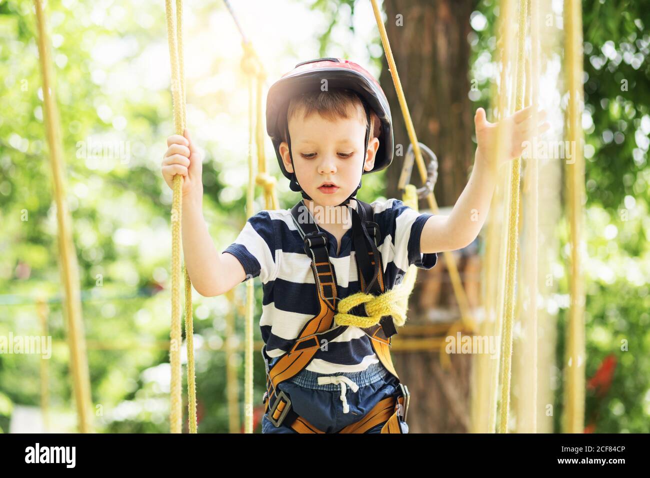 Kids climbing in adventure park. Boy enjoys climbing in the ropes ...