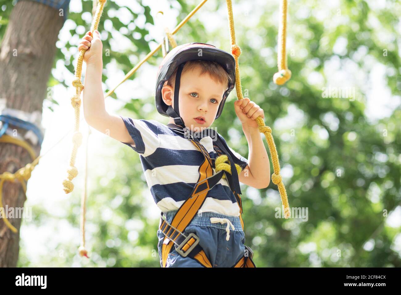 Kids climbing in adventure park. Boy enjoys climbing in the ropes ...