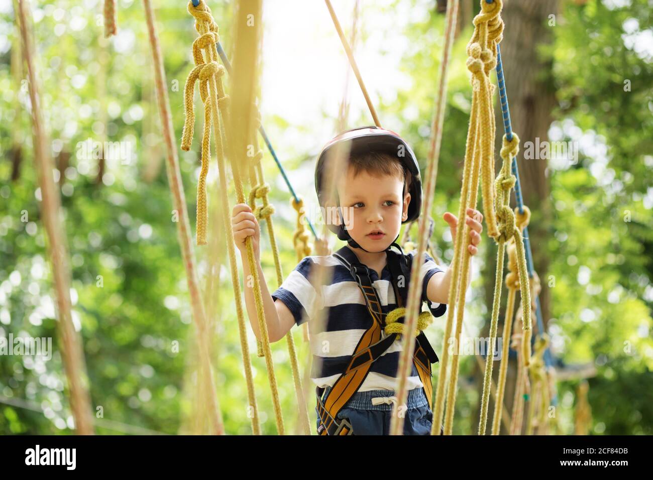 Kids climbing in adventure park. Boy enjoys climbing in the ropes ...