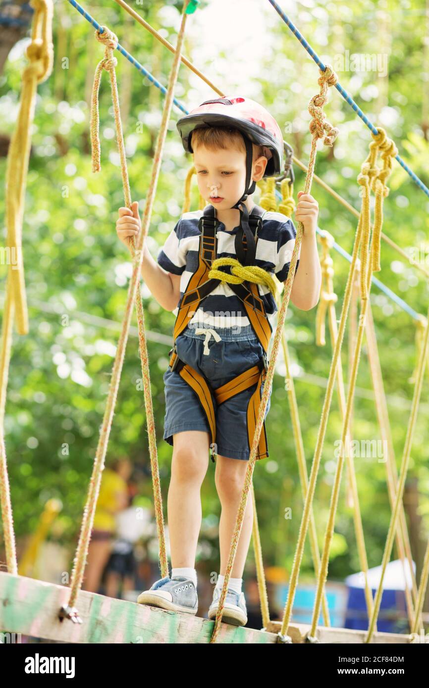Kids climbing in adventure park. Boy enjoys climbing in the ropes ...