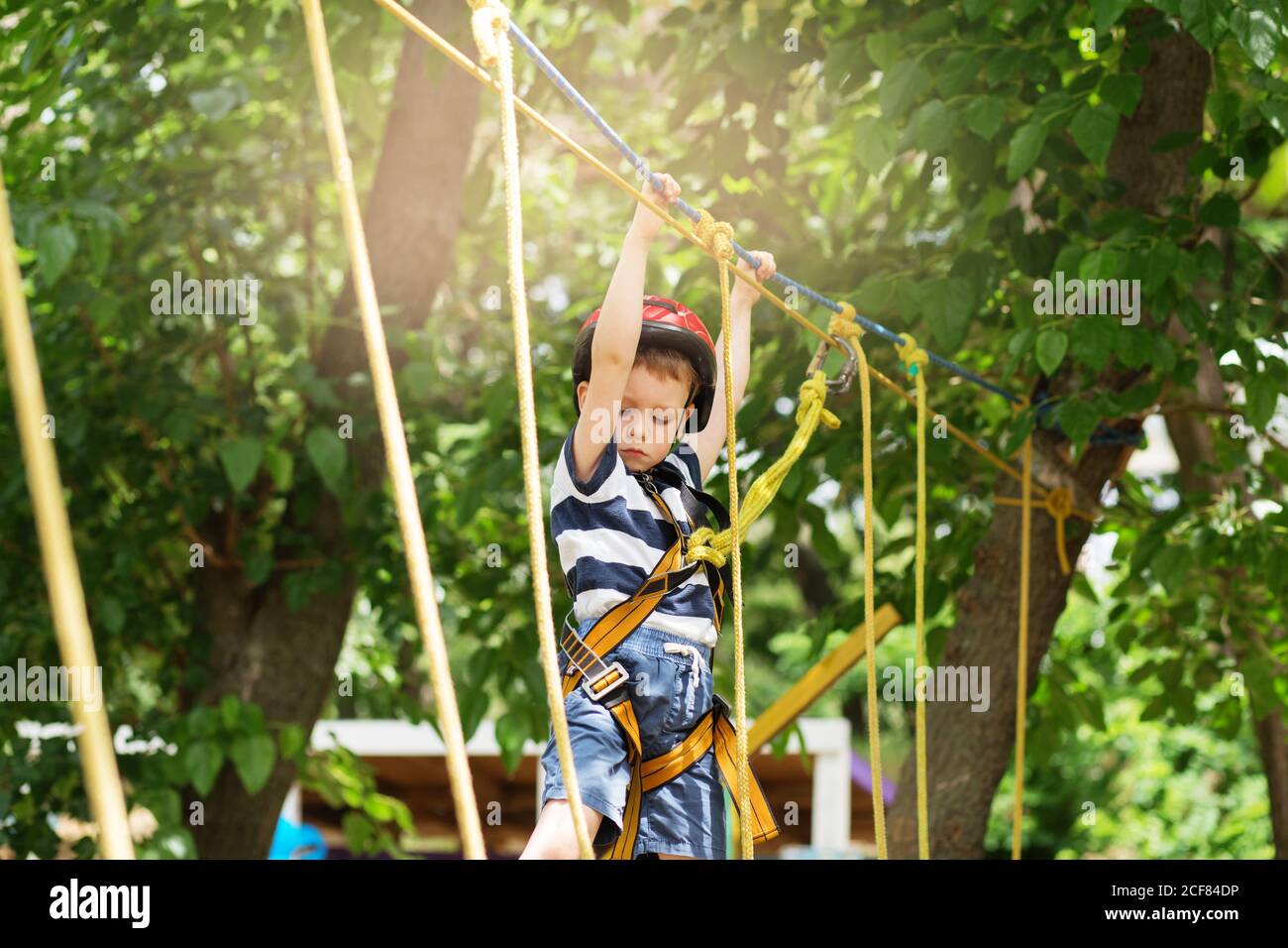 Kids climbing in adventure park. Boy enjoys climbing in the ropes ...