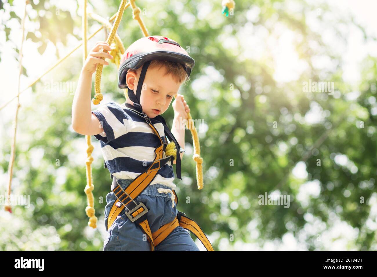 Kids climbing in adventure park. Boy enjoys climbing in the ropes ...