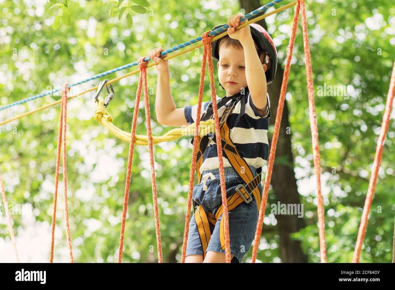Kids climbing in adventure park. Boy enjoys climbing in the ropes ...