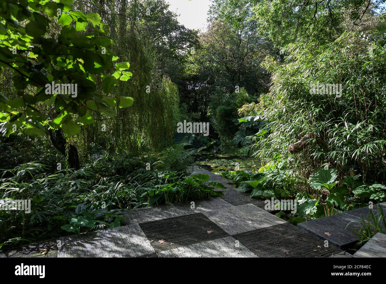 Chelsea garden hi-res stock photography and images - Alamy