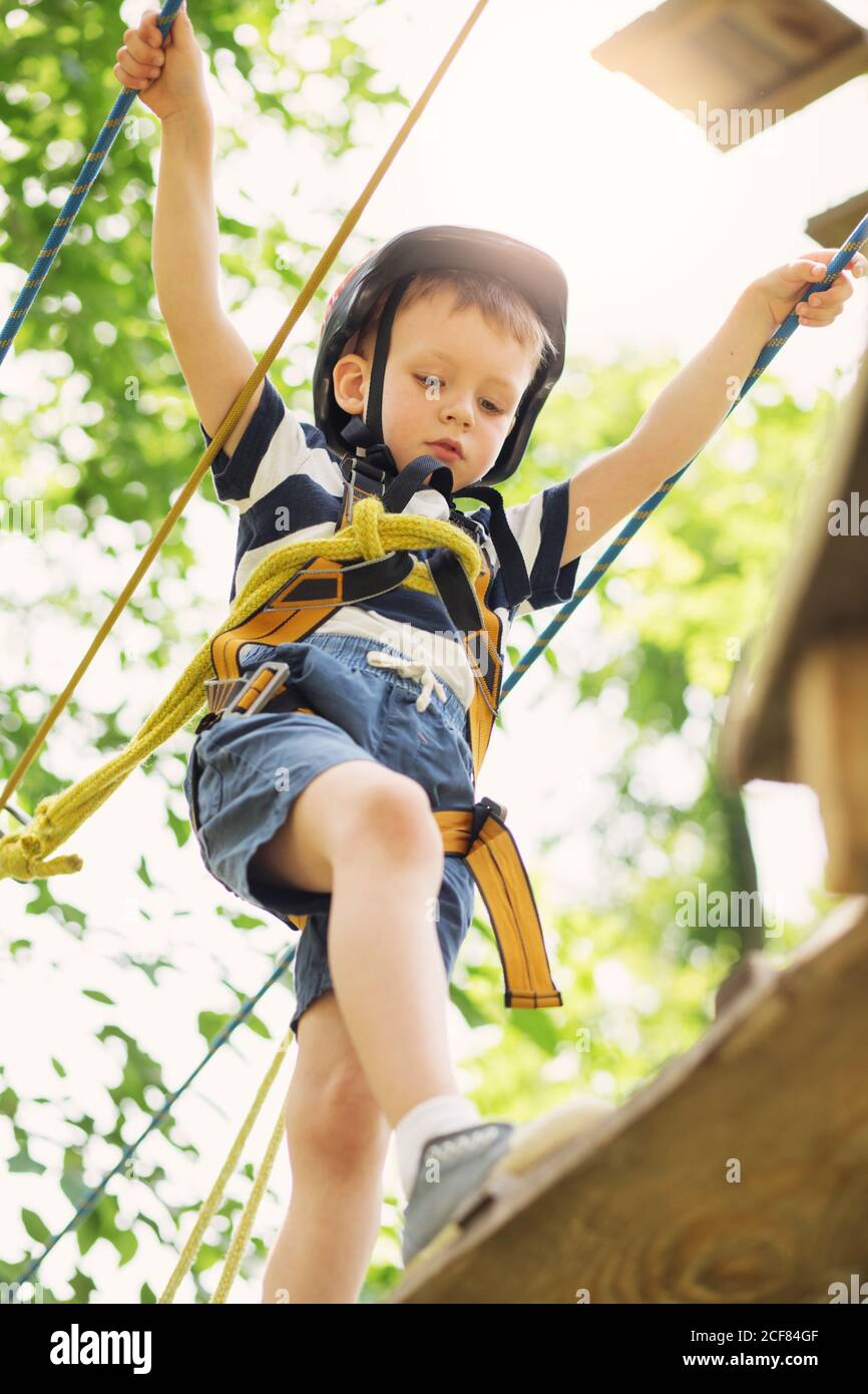 Kids climbing in adventure park. Boy enjoys climbing in the ropes ...