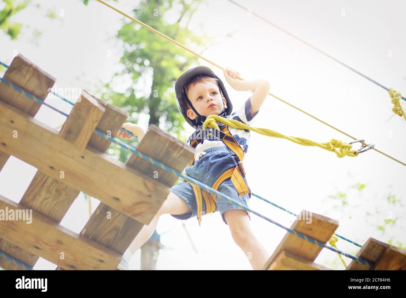 Kids climbing in adventure park. Boy enjoys climbing in the ropes ...