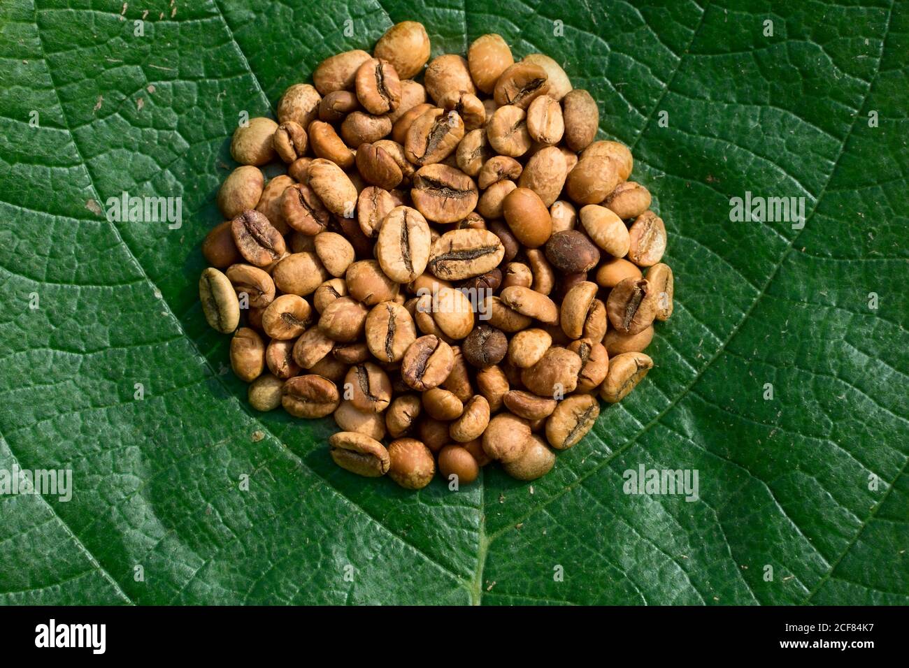 Background of middle coffee beans on exotic tropical leaves Stock Photo ...