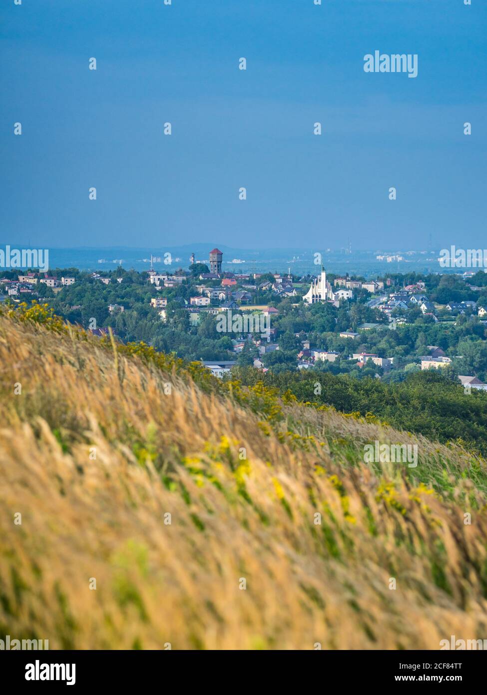 Sunny scenery of a grass hillside on Laziska Gorne's cityscape ...