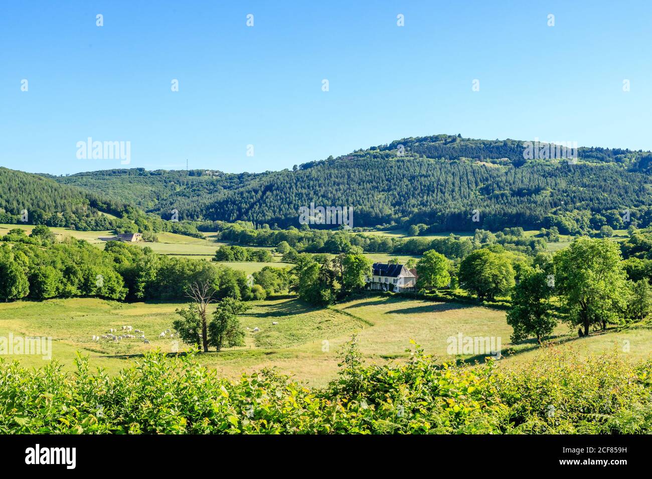 France, Nievre, Regional Natural Park of Morvan, Corancy, Morvan ...