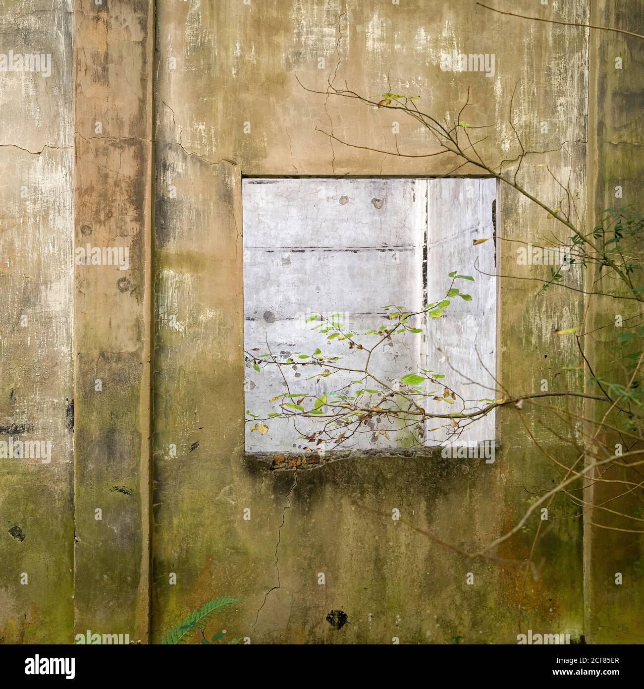 Aged shabby stone wall of desolate building with open door and tree ...