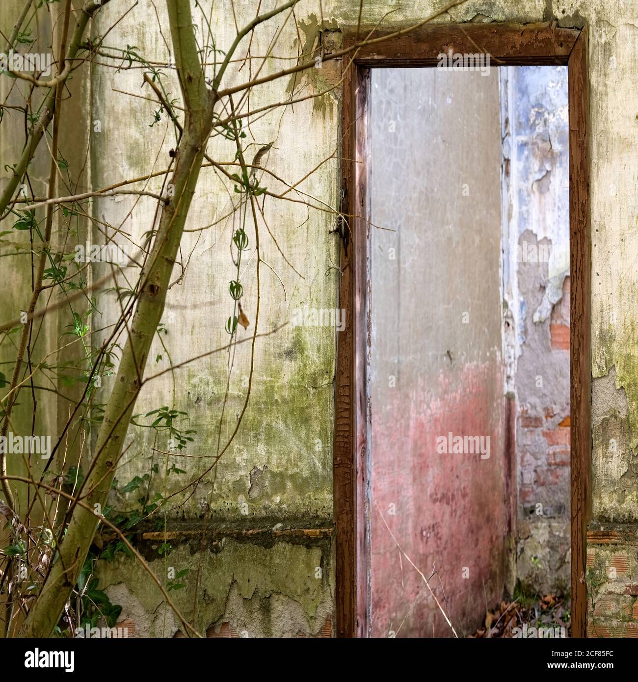 Aged shabby stone wall of desolate building with open door and tree ...
