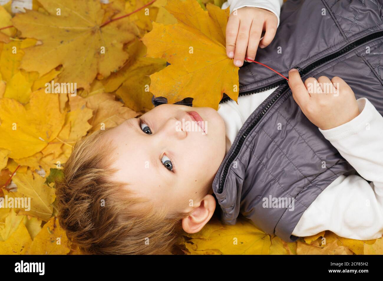 Portrait of a cheerful little boy wallow in fall foliage. Smiling funny ...