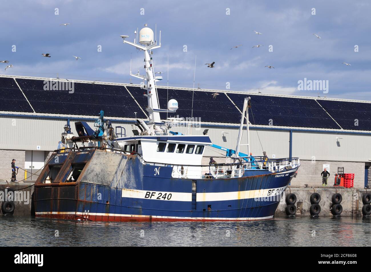 Fishing boats in harbour Stock Photo - Alamy