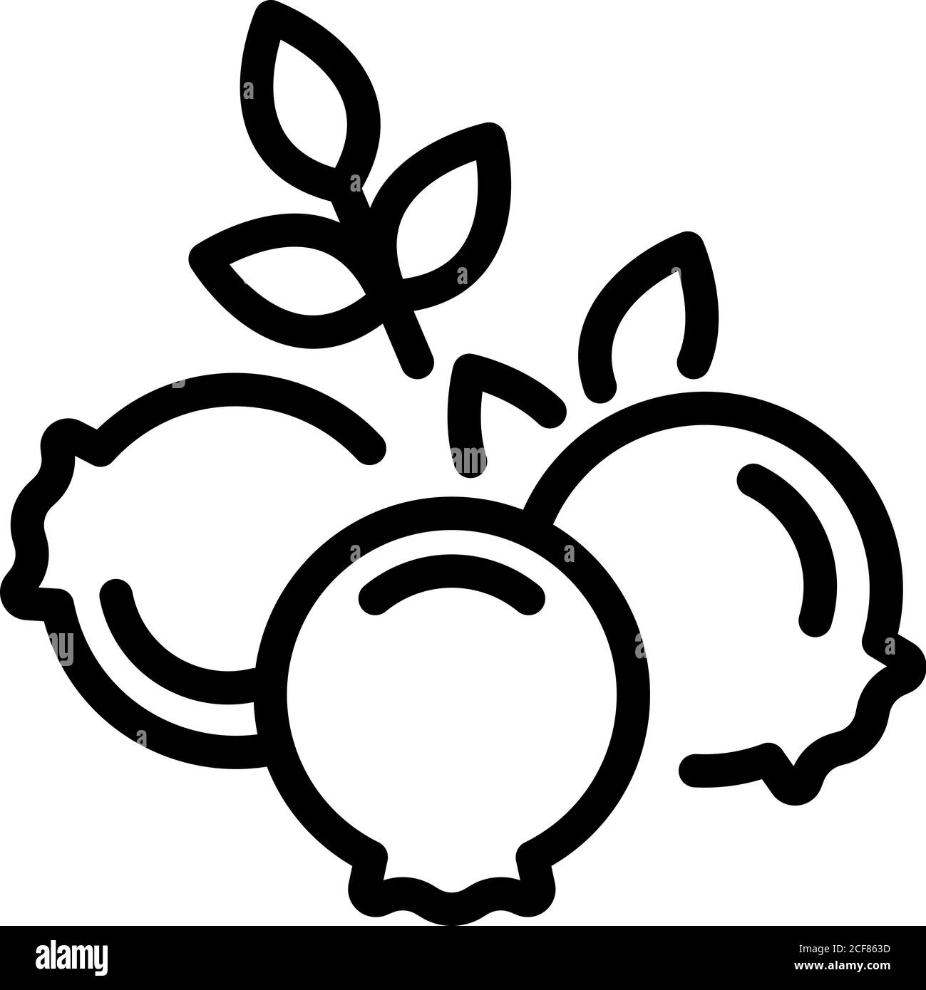 Branch mountain ash tree Black and White Stock Photos & Images - Alamy