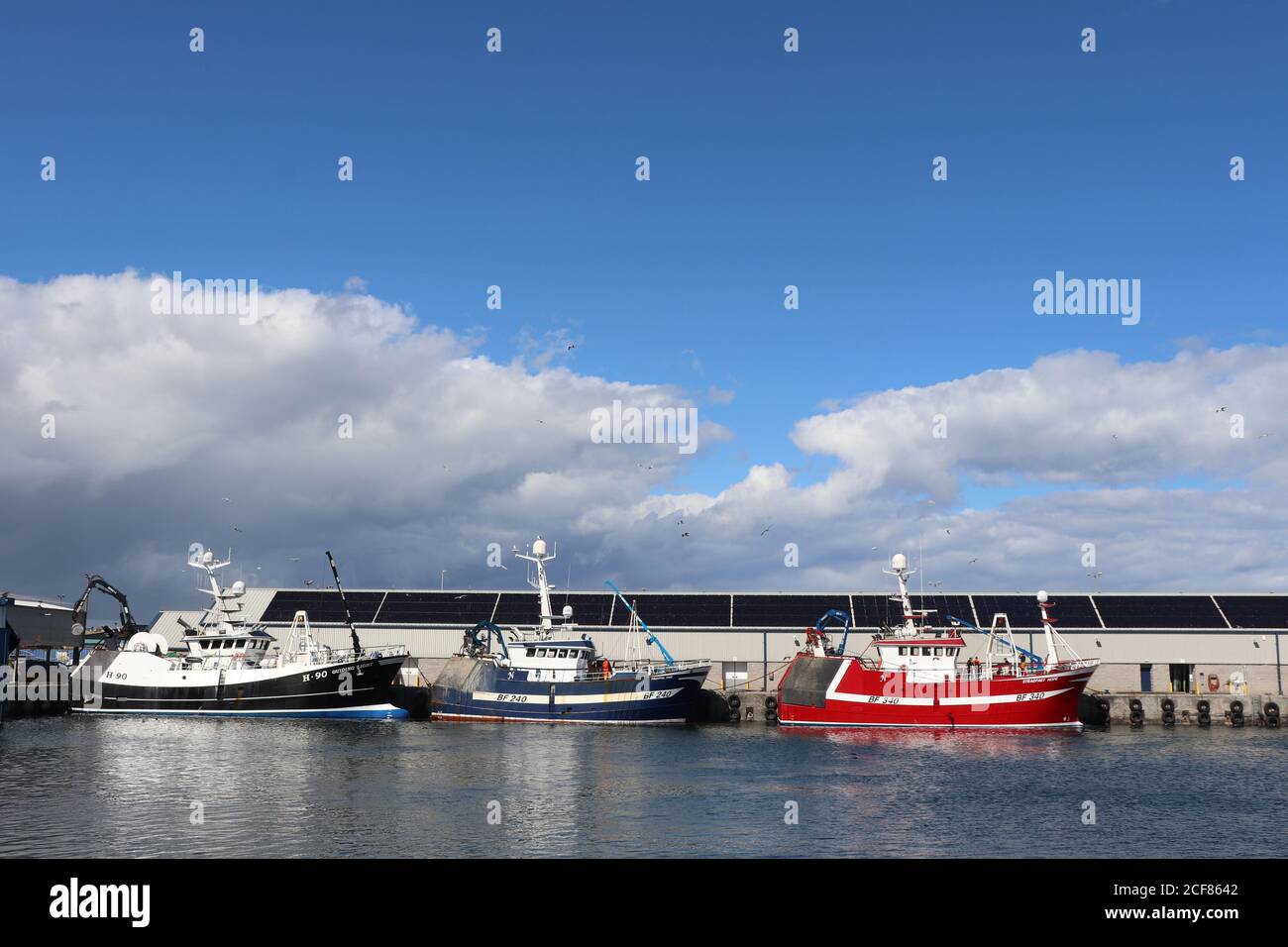 Fishing boats in harbour Stock Photo - Alamy
