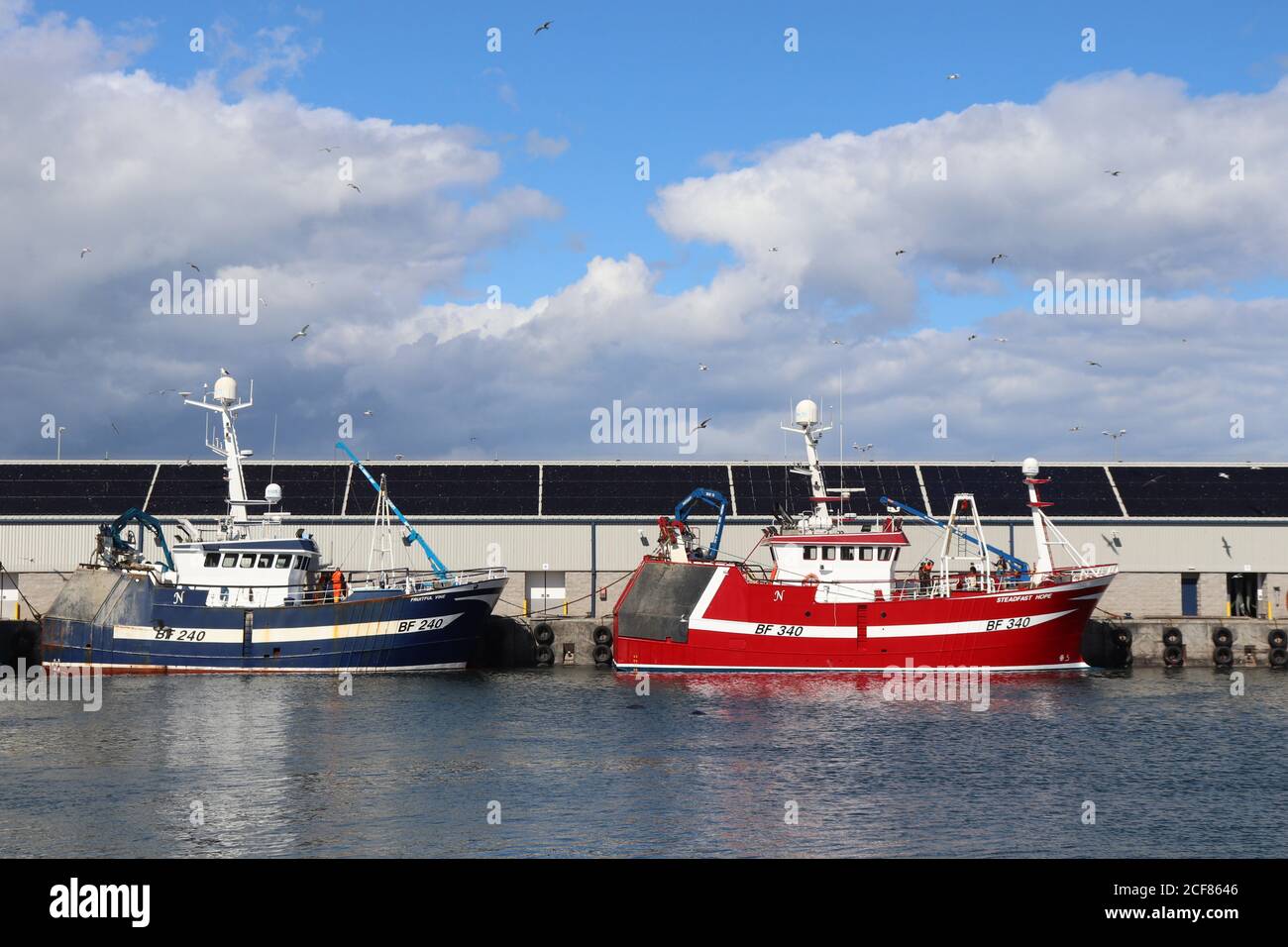 Fishing boats in harbour Stock Photo - Alamy