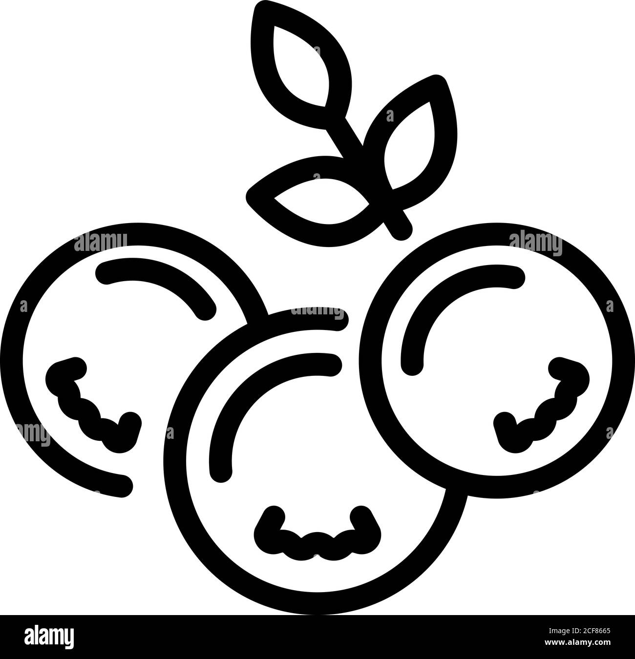 Branch mountain ash tree Black and White Stock Photos & Images - Alamy